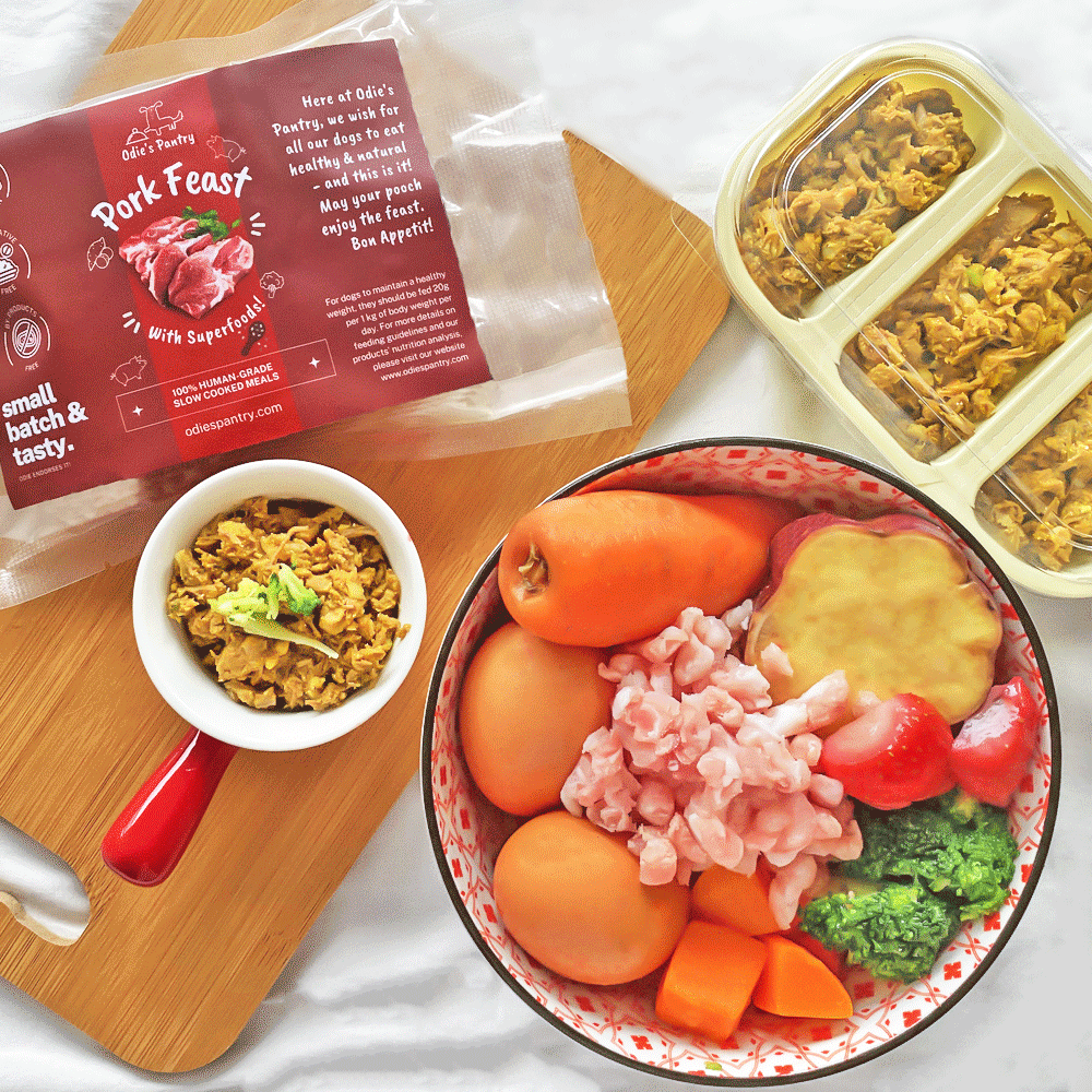 Gently Cooked Feasts